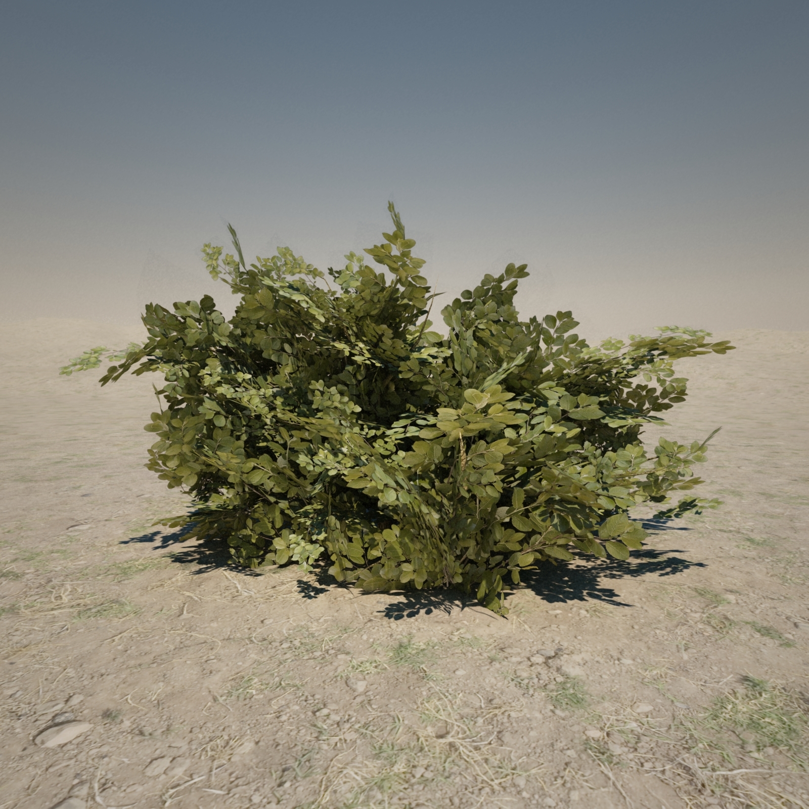 3d model large bush