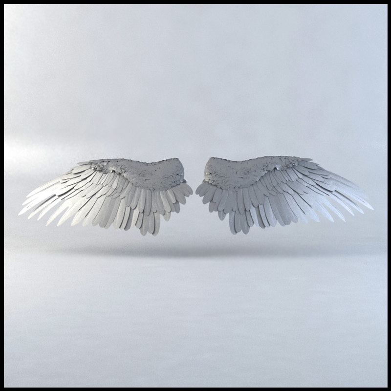 bird wings 3d max