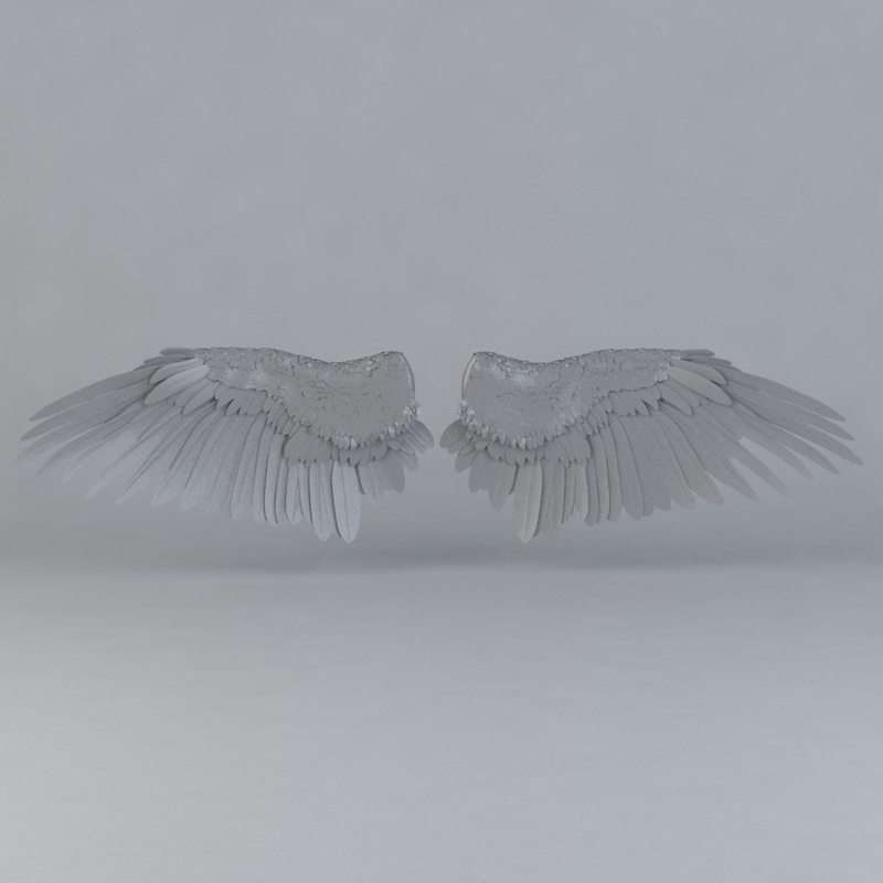 bird wings 3d max