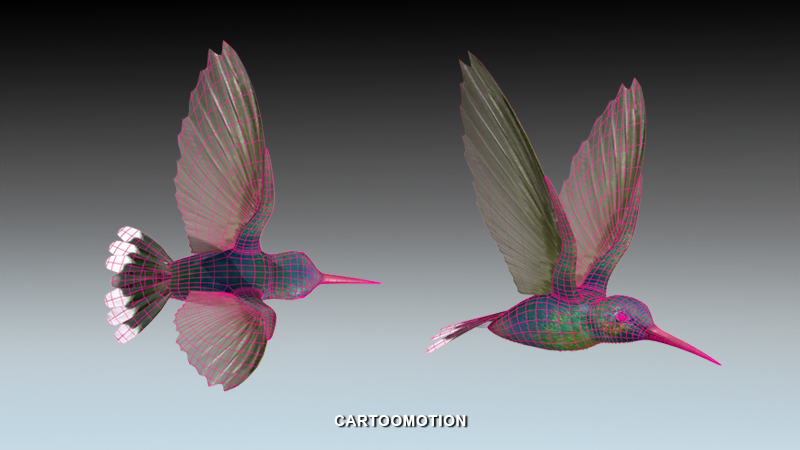 3d humming bird model