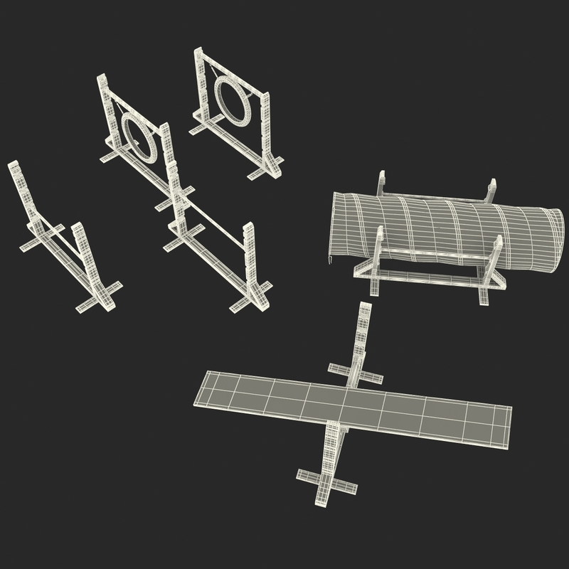 dog agility equipment 3d model