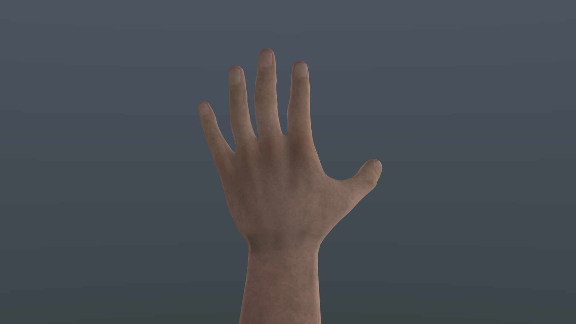 hand arm rig 3d model
