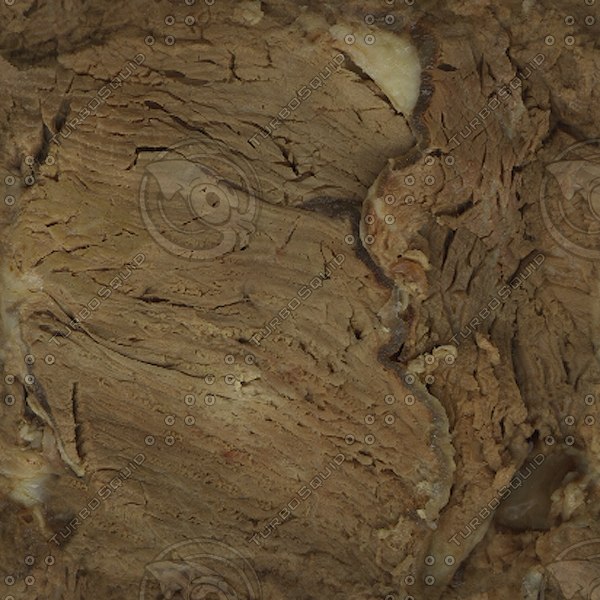 Texture JPEG roast beef food
