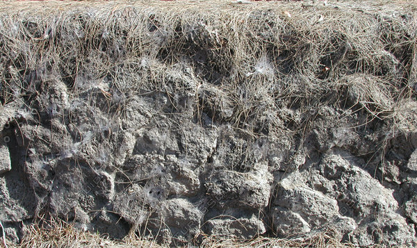 Texture JPEG seemless stone web