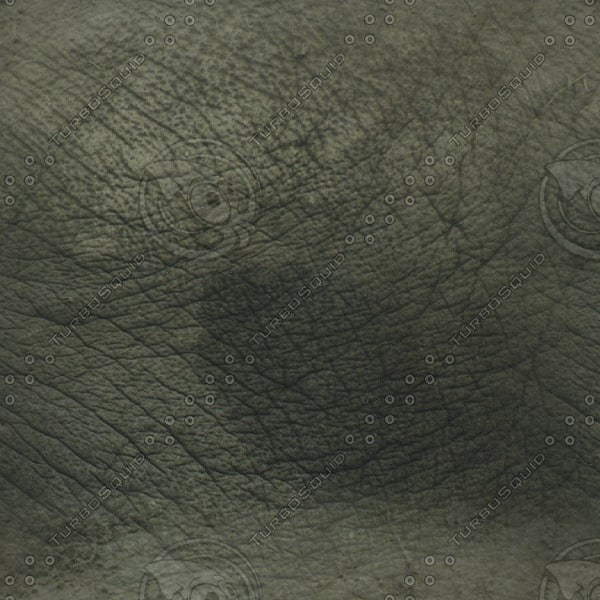 Texture JPEG gray animal skin