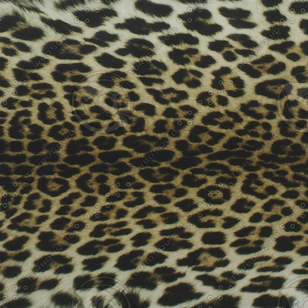 Texture JPEG skin spot animal