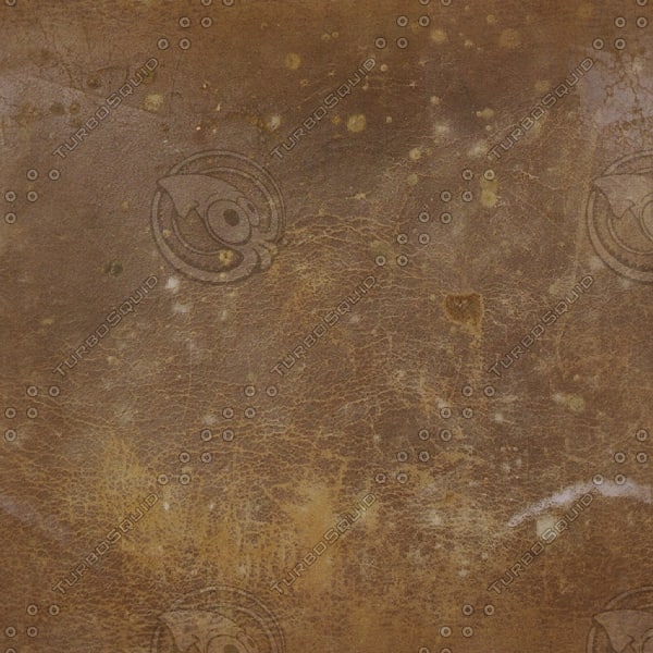 Texture JPEG skin animal wrinkled