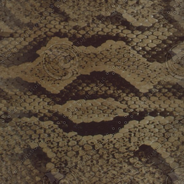 Texture JPEG skin snake animal