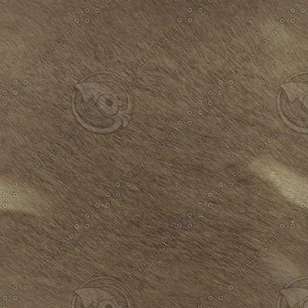 Texture JPEG fur smooth brown