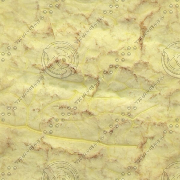 Texture JPEG plant yellow leaf