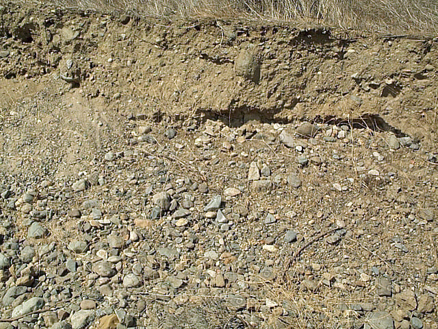 Texture JPEG ground dirt rock