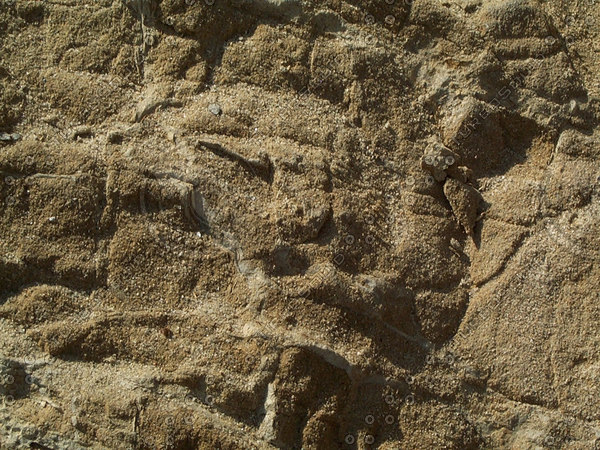 Texture JPEG rock face brown