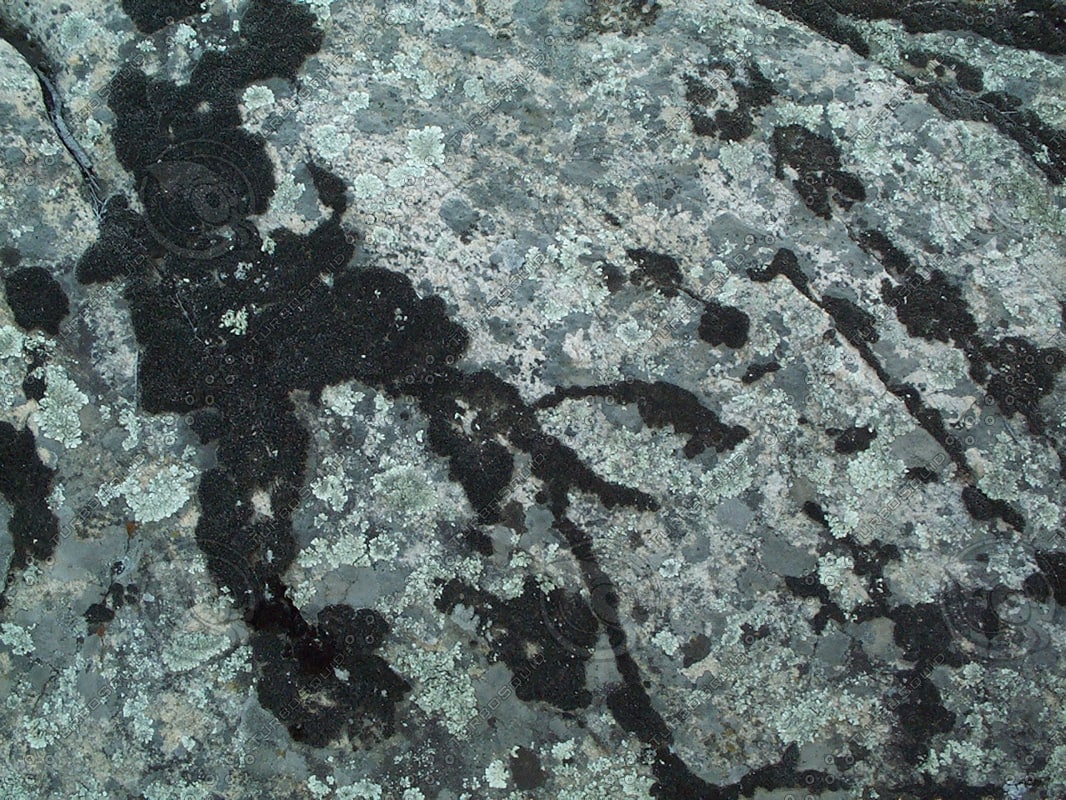 Texture JPEG rock face moldy