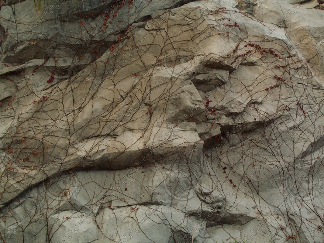 Texture JPEG rock vine light