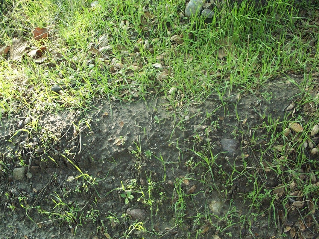 Texture JPEG grass mound ground