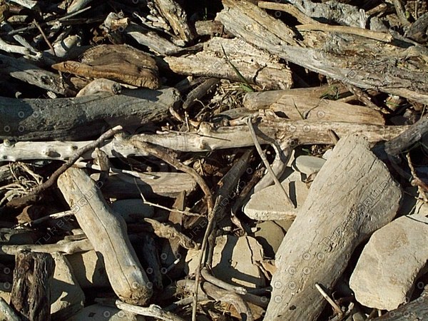 Texture JPEG dead sticks ground