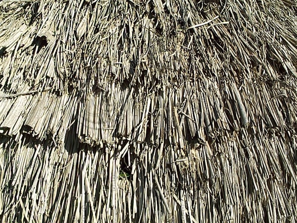 Texture JPEG thatched roof brown