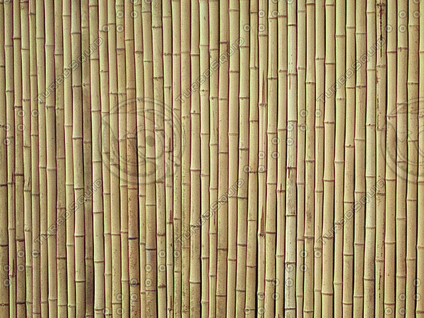 Texture JPEG bamboo sticks plant