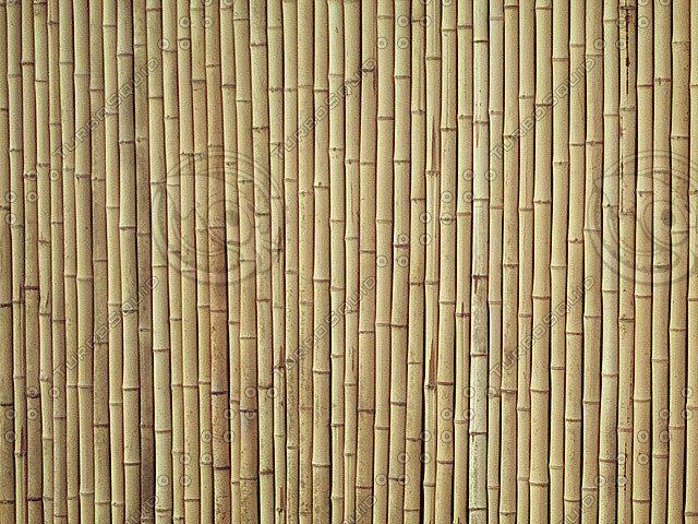Texture JPEG bamboo sticks plant