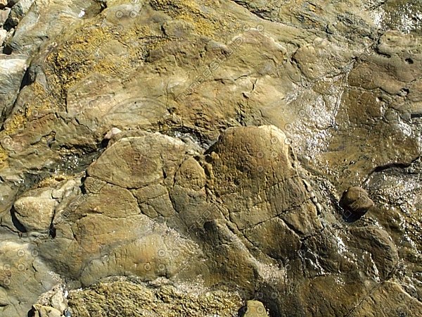 Texture JPEG riverbed rock river