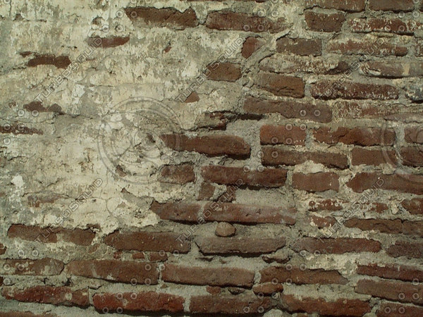 Texture JPEG plaster brick wall