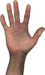 Texture Targa hand human