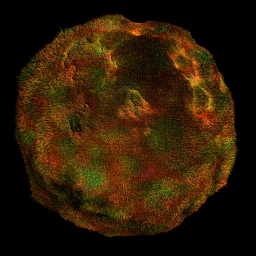 Materials Renderman fur skin alien