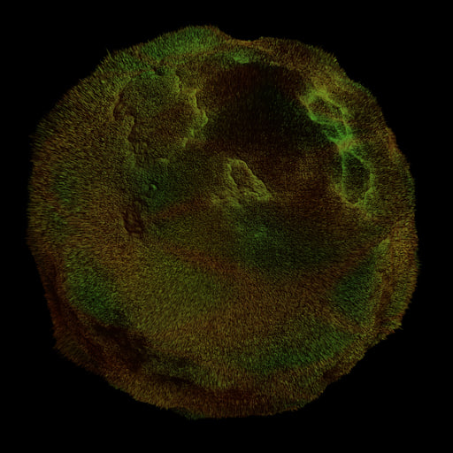 Materials Renderman skin alien animal