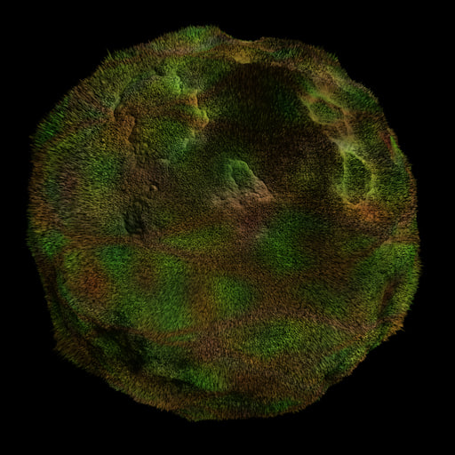 Materials Renderman grass hill bulbous
