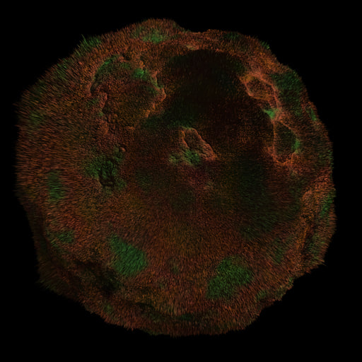 Materials Renderman skin alien animal