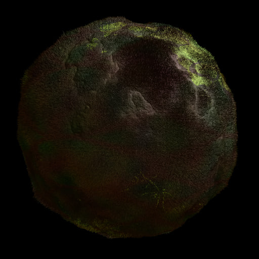 Materials Renderman skin alien animal