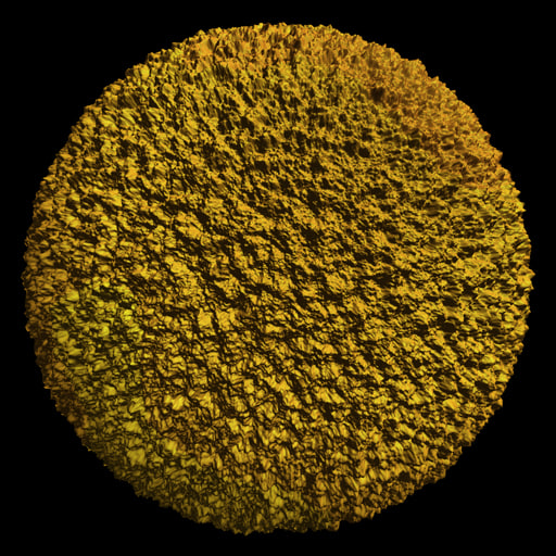 Materials Renderman ground nature coral