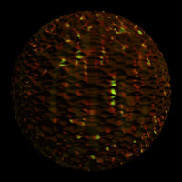 Materials Renderman tree bark nature