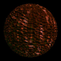 Materials Renderman tree bark nature