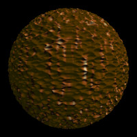 Materials Renderman tree bark nature