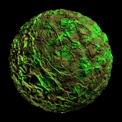 Materials Renderman nature shell veiny
