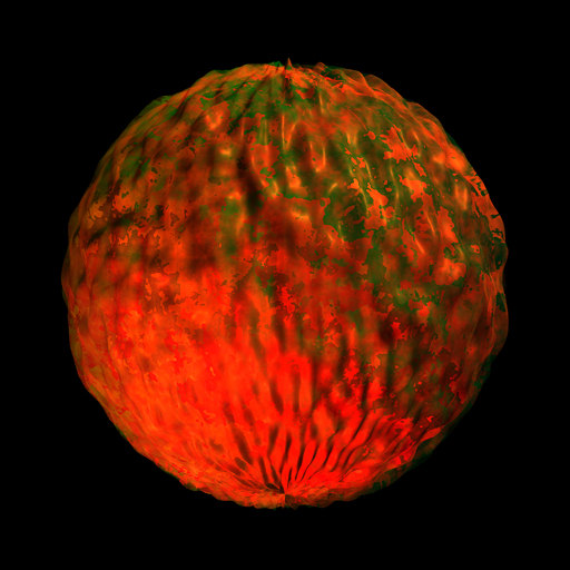 Materials Renderman nature bumpy green