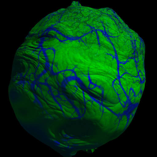 Materials Renderman nature green blue