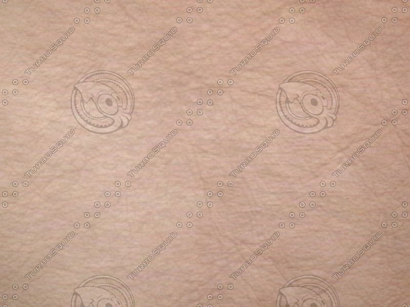 Texture JPEG skin human skin
