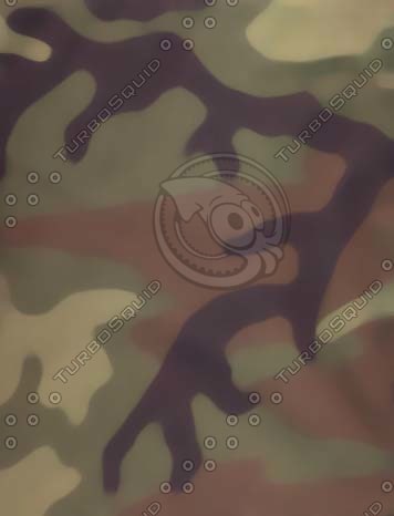 Texture JPEG camo army bdu