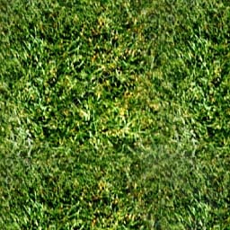 Texture JPEG grass