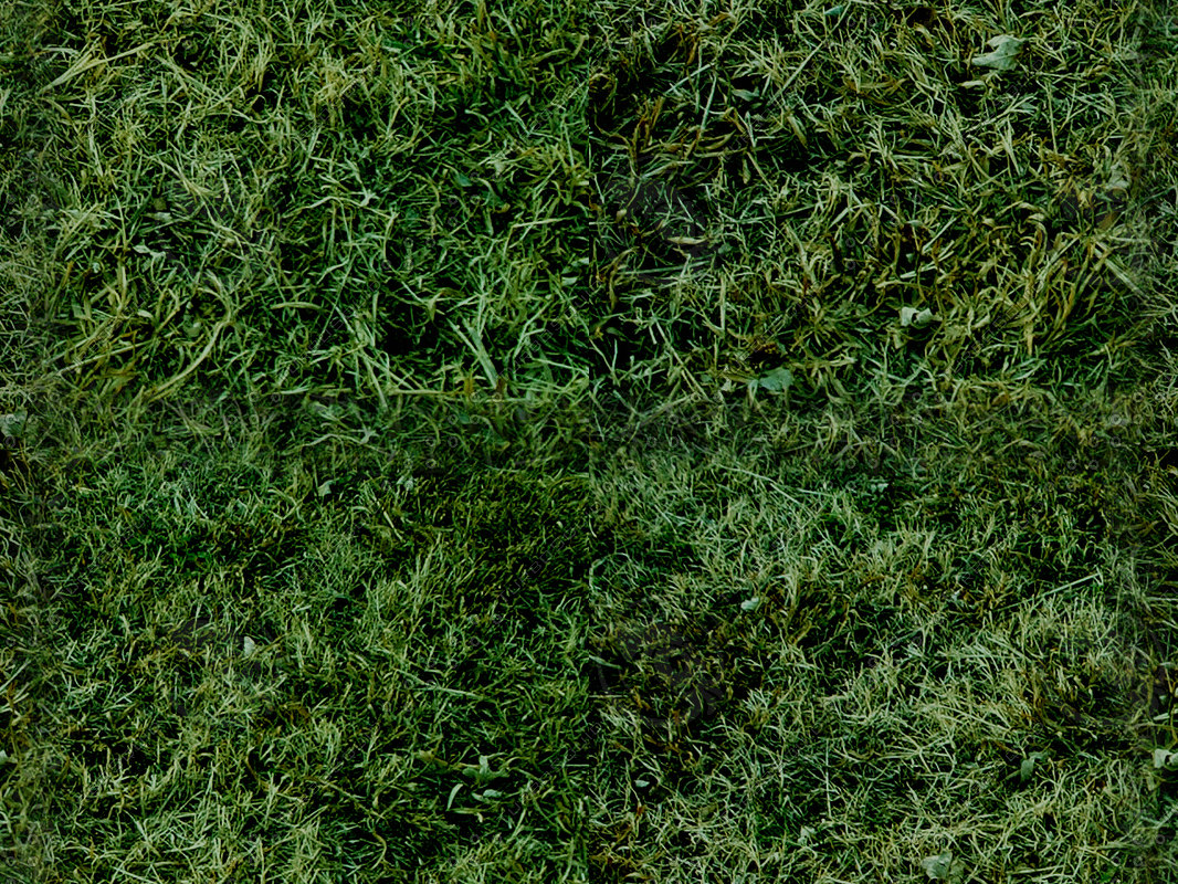Texture JPEG grass green large