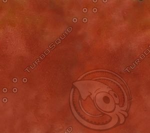 Texture JPEG tomato skin vegetable