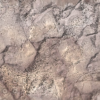 Texture JPEG concrete withered stone