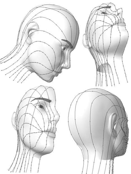 Training Hypertext Markup Language head Tutorial human