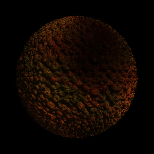 Materials Renderman skin alien animal