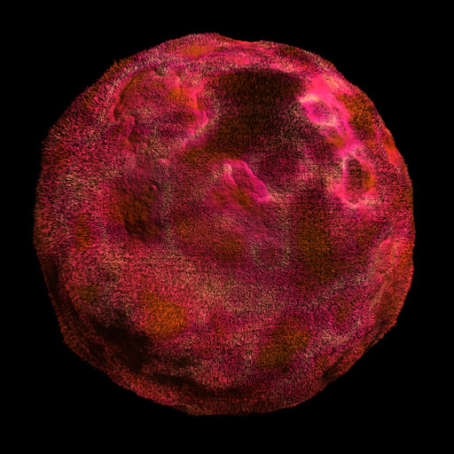 Materials Renderman skin alien animal