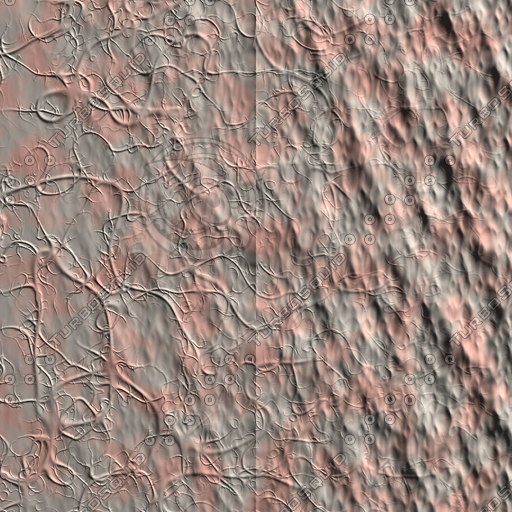 Texture JPEG skin alien animal