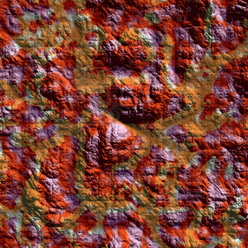 Texture JPEG coral nature bumpy