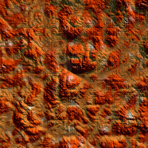 Texture JPEG coral nature orange